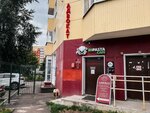 Адвокат Шалаева У.А. (Kalinina Street No:64А), avukatlar  Perm'den