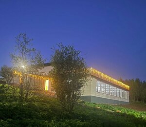 The Les (ulitsa Truda No:34, rabochiy posyolok Usva), otel  Permski krayından