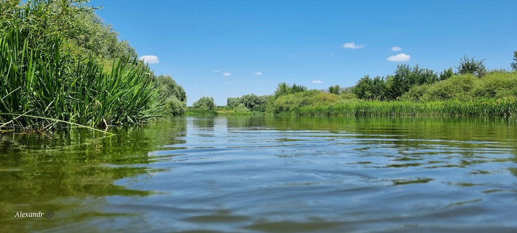 Plaj Пляж, Voronejskaya oblastı, foto