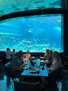 Nemo Restaurant & Lounge (Antalya, Serik, Kadriye Mah., Atatürk 3 Cad., 1/11), restoran  Serik'ten