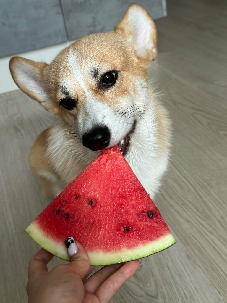 Manavlar Фруктовый рай, Moskova, foto