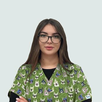 Veteriner klinikleri Çapa Angora Veteriner Kliniği Mamak, Ankara, foto