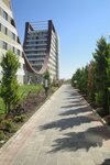 Kentplus New Port (Yenişehir Mah., Saray Sok., No:11/4, Pendik, İstanbul), konut servisleri kuruluşları  İstanbul'dan