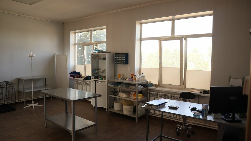 Veteriner klinikleri Veterinary Clinic, Kosteriovo, foto