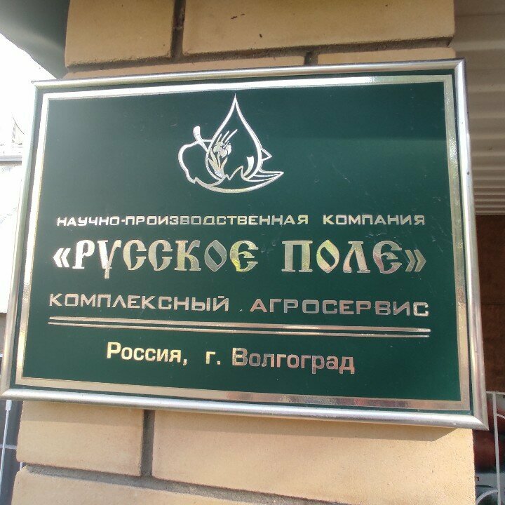 Tohum üretimi Russkoe pole, Volgograd, foto
