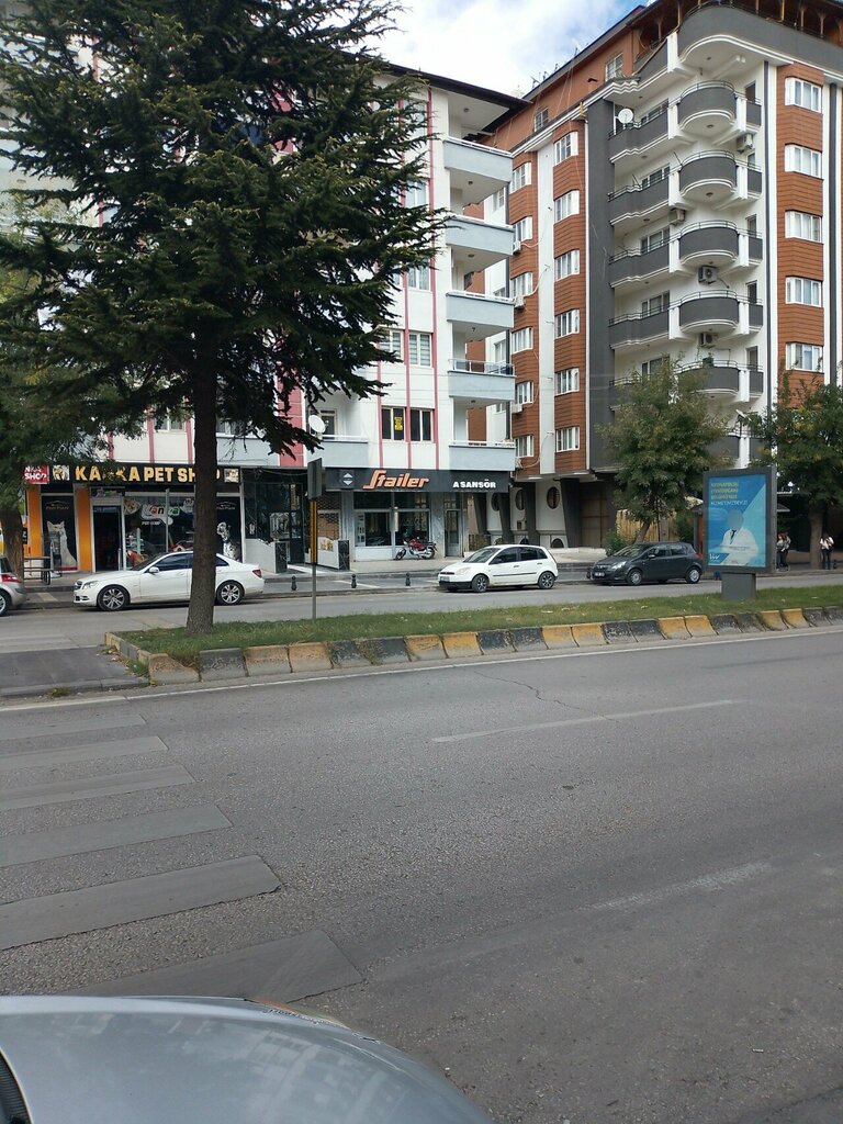 Asansörler, asansör ekipmanları Stailer Asansör, Gaziantep, foto
