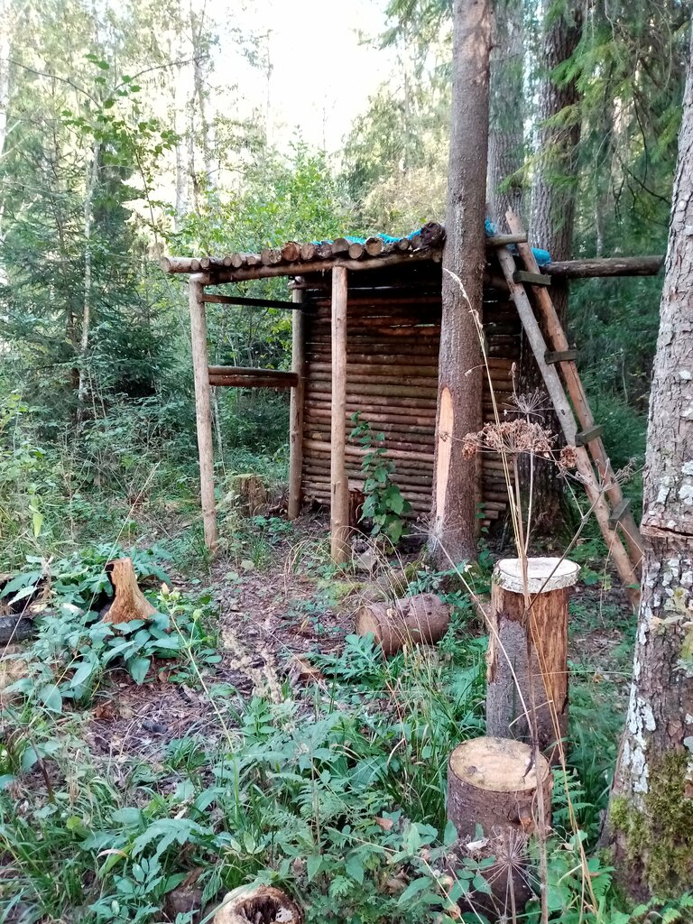 Çardak Gazebo, Novgorodskaya oblastı, foto