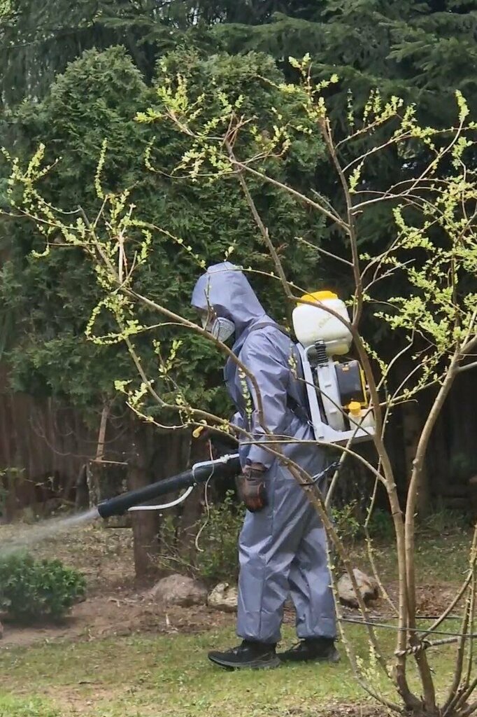 Bahçe bakımı Mesto sili, Moskova ve Moskovskaya oblastı, foto