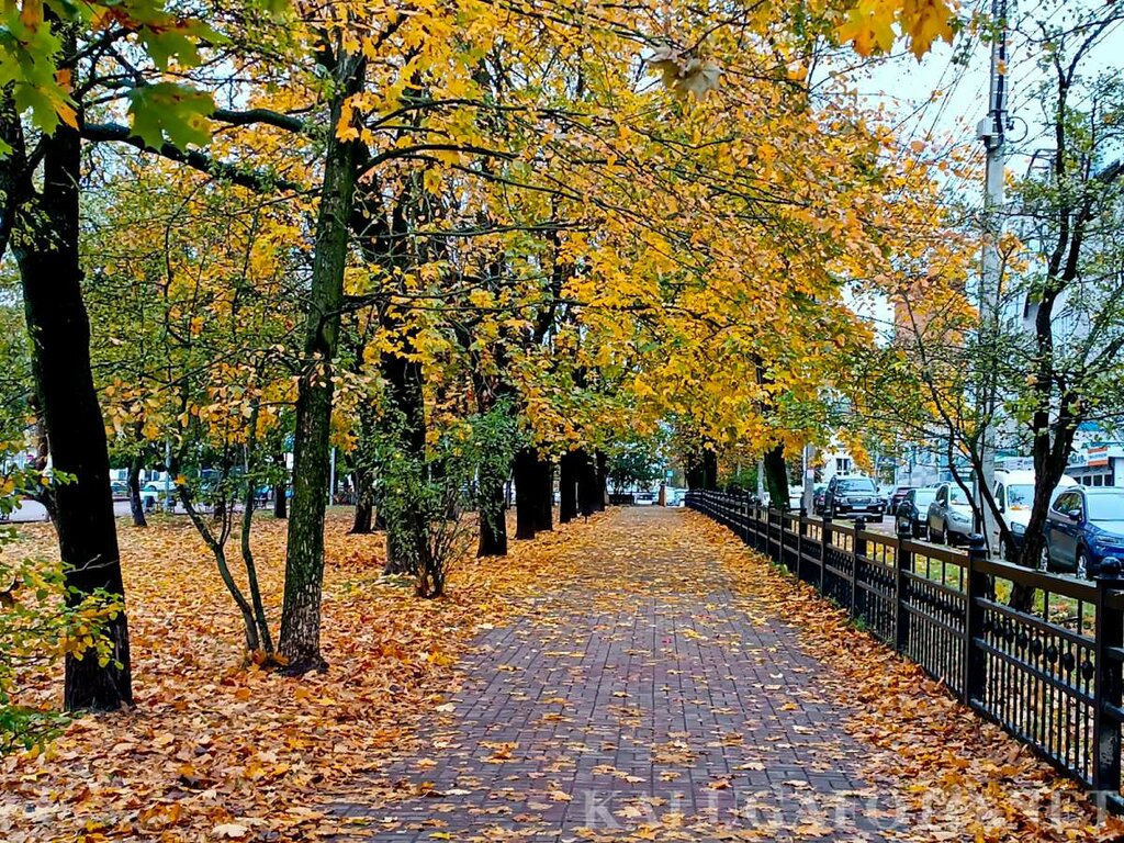 Meydan Сквер им. П. А. Воронина, Kaluga, foto