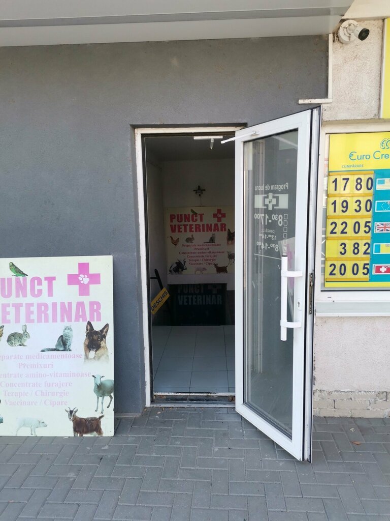 Veteriner klinikleri Punct Veterinar, Ialoveni, foto