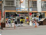Oscar (Güzelyalı Mah., 81163. Sok., No:37A, Çukurova, Adana), petshop  Adana'dan