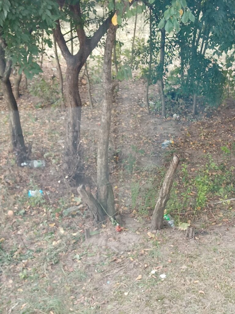 Konut servisleri kuruluşları ZhEU № 1 Kup Slutskoye ZhKKh, Slutsk, foto