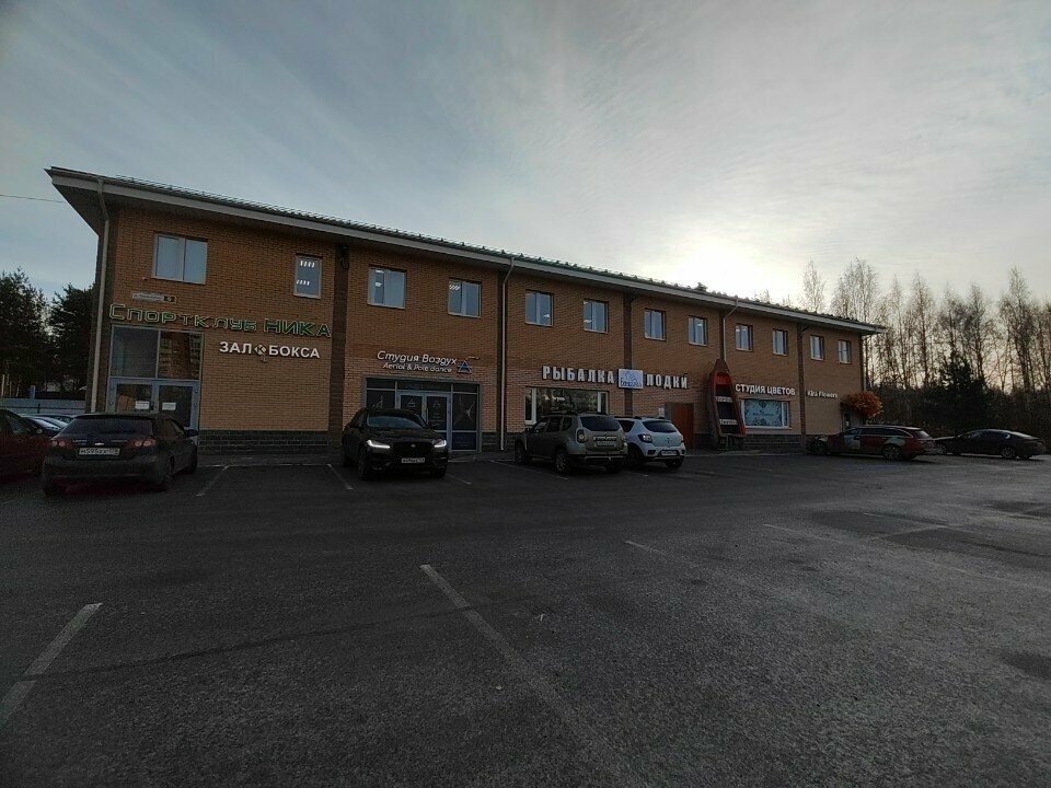 Dans okulları Aerial&Pole Dance, Vsevolgsk, foto