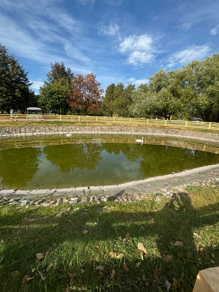 Doğa Дуб черешчатый, Moskova, foto