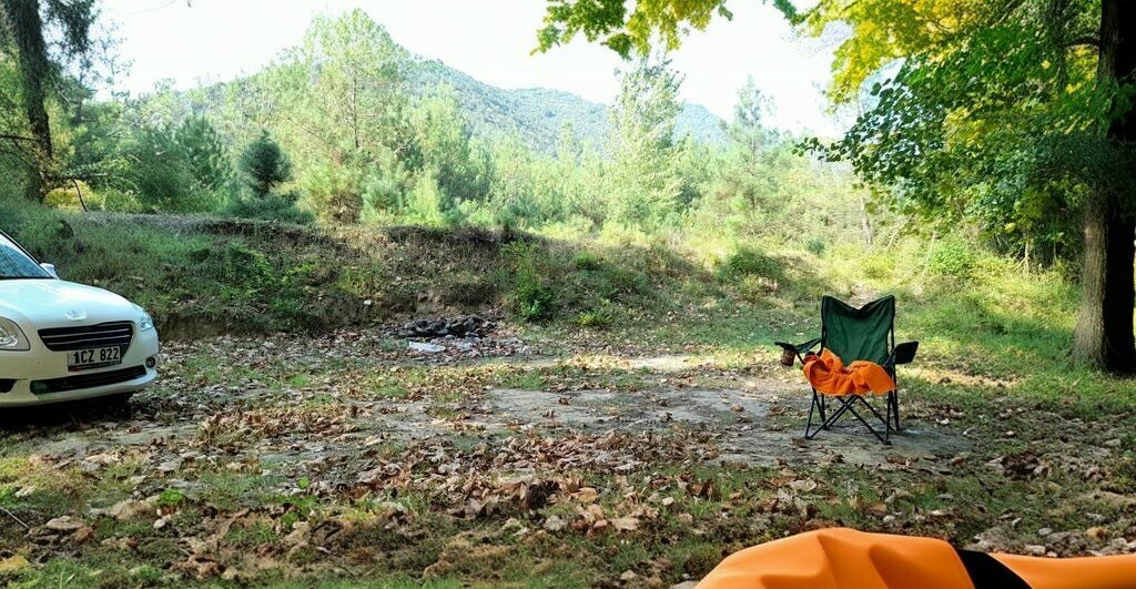Belediyeler, devlet daireleri Zonguldak Dirgine Orman İşletme Müdürlüğü, Devrek, foto