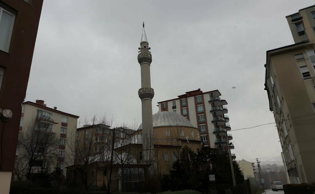 Cami Talayhan Cami, Niğde, foto