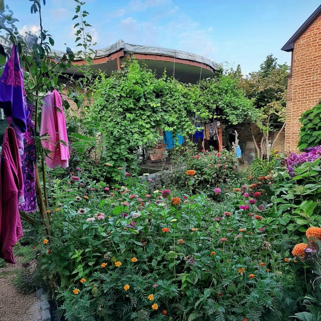Cami Ulu Cami, Şemdinli, foto