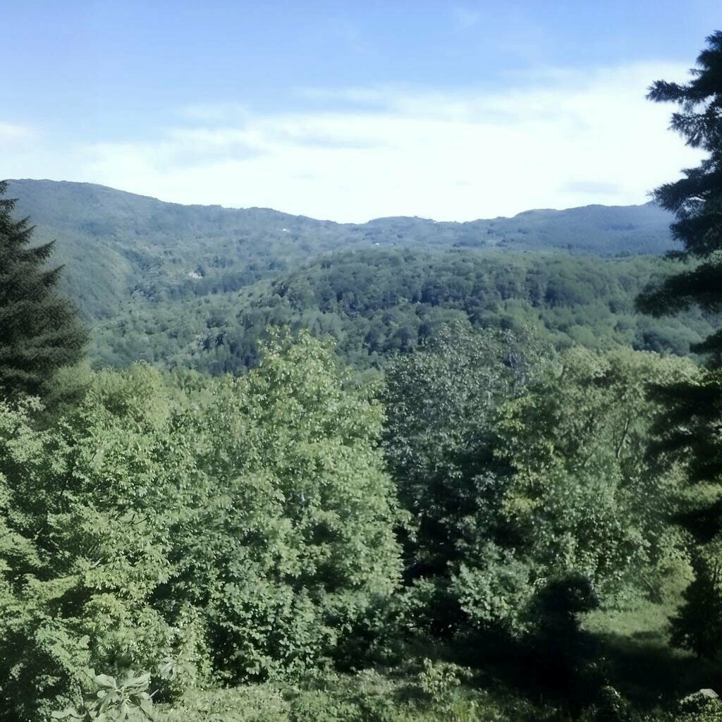 Muhtarlıklar Uzunçam Köy Muhtarlığı, Ayancık, foto