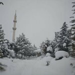 Hz Ali Cami (Van, İpekyolu, Selimbey Mah., Tebrizkapı Cad., 80), cami  Van'dan