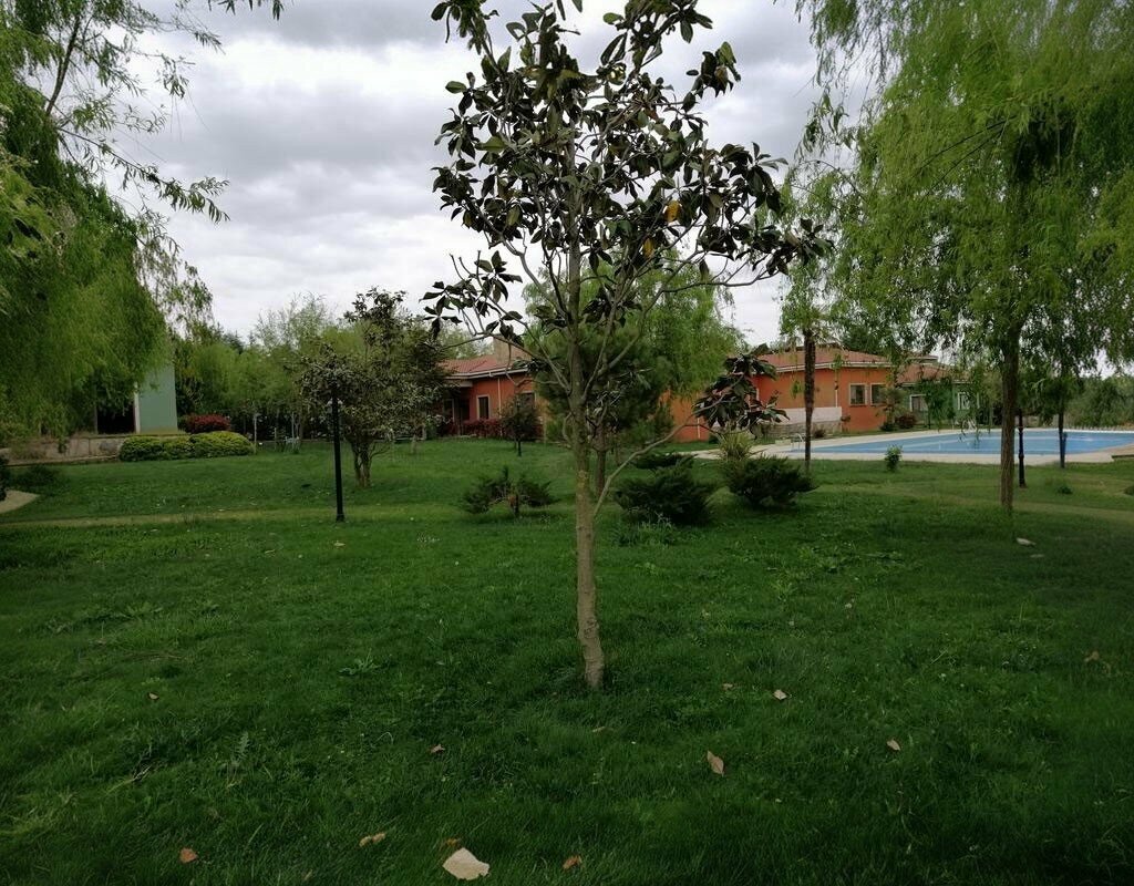 At ve binicilik kulüpleri Kılıçpaşa At Çiftliği, Silivri, foto