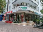 Melisa (Adana, Seyhan, Yeşilyurt Mah., 70595. Sok., 1A), çiçekçiler  Adana'dan