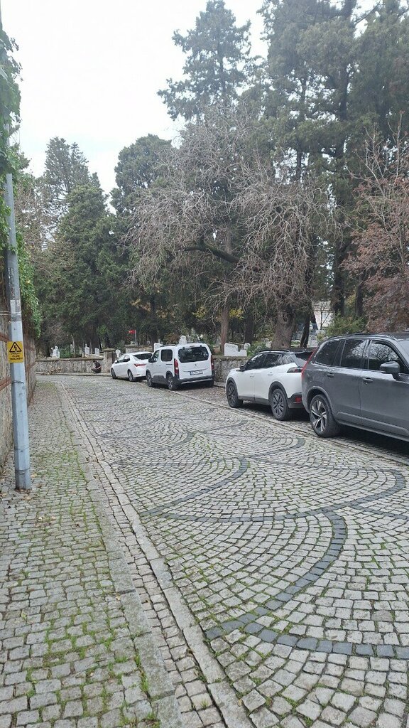 Mezarlıklar Küplüce Mezarlığı, İstanbul, foto