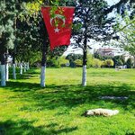 Yeniköy Spor Kulübü Bağlar Tesisi (İstanbul, Sarıyer, Yeniköy Mah., Abide Sok., 4), spor ve eğlence merkezi  İstanbul'dan