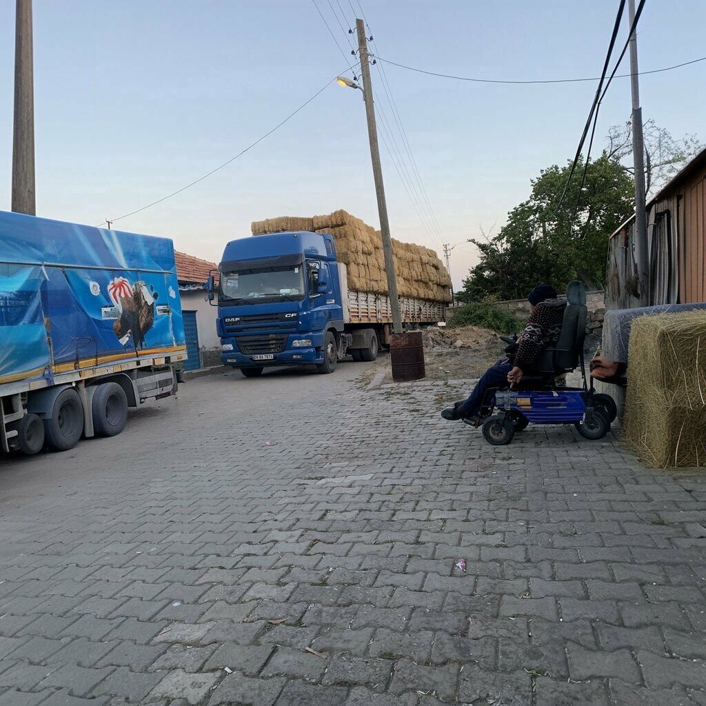 Ortaokul Söğütlü İlköğretim Okulu, Saraykent, foto