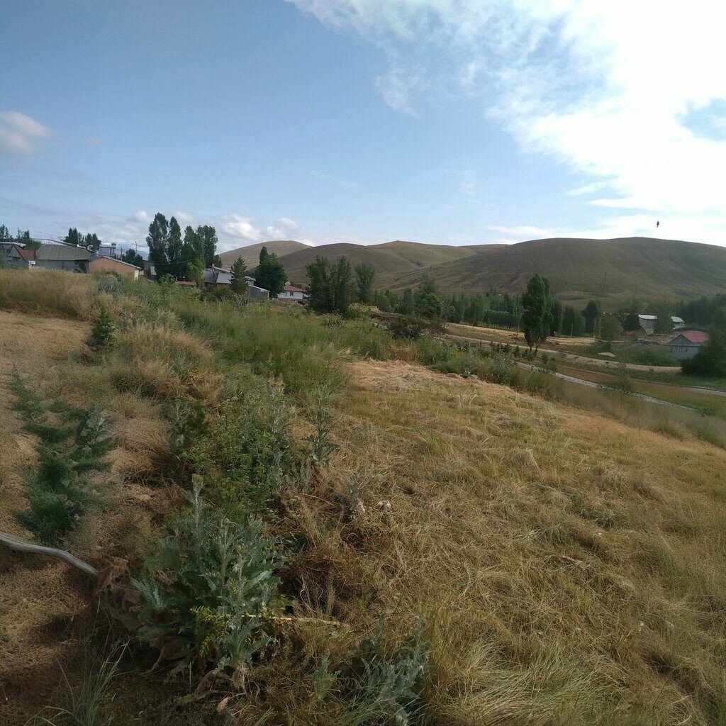 Cami Güllüce Köyü Cami, Bayburt, foto