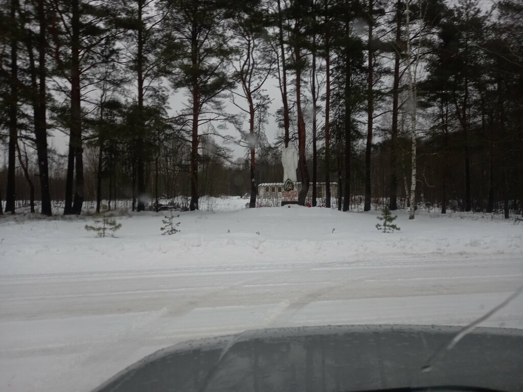 Anıt, heykel Односельчанам, павшим в Великой Отечественной войне, Pskovskaya oblastı, foto