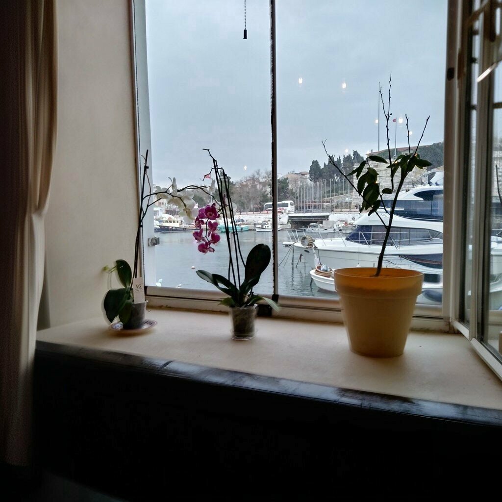 Kafe Cafe De Teras, Gelibolu, foto