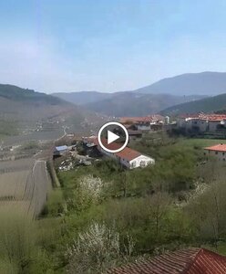Redifler Köyü Muhtarlığı (Düzce, Yığılca, Redifler Merkez Mah.), otel  Yığılca'dan