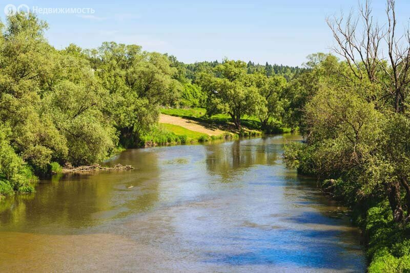 Yazlık yerleşim Березовое, Moskova ve Moskovskaya oblastı, foto