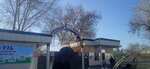 Correctional Facility No. Uya 64/52 (Tashkent Region, Akhangaran), cezaevleri, islahevleri