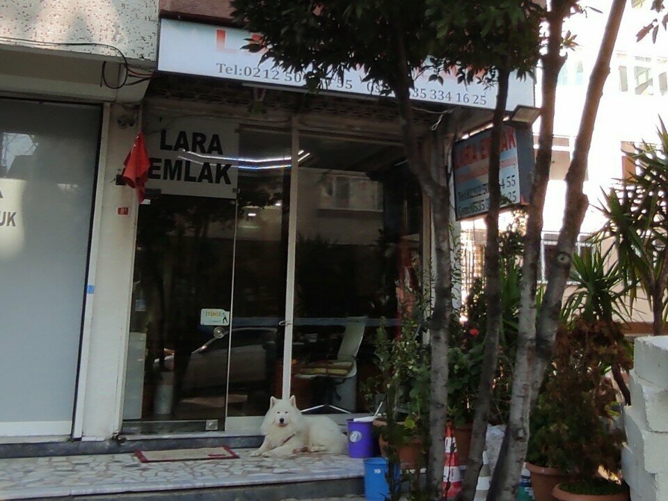 Emlak ofisi Lara Emlak, İstanbul, foto