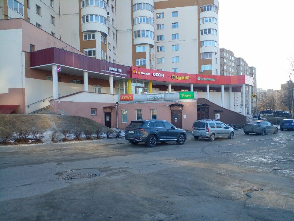 Elektrik ve benzinle çalışan aletler Stihl, Vladimir, foto