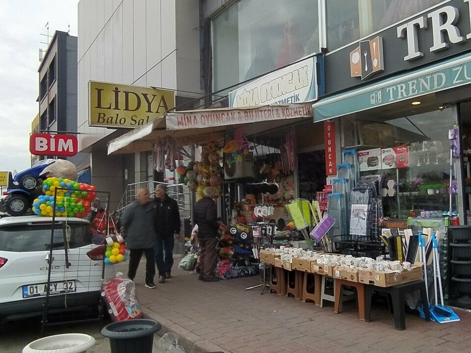 Çocuk oyunları ve oyuncakları Mina, Adana, foto