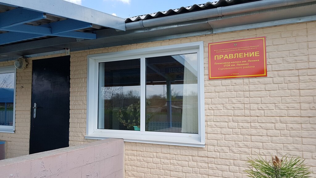 Hayvancılık Im. Lenina, Plemzavod, SPK, Volgogradskaya oblastı, foto