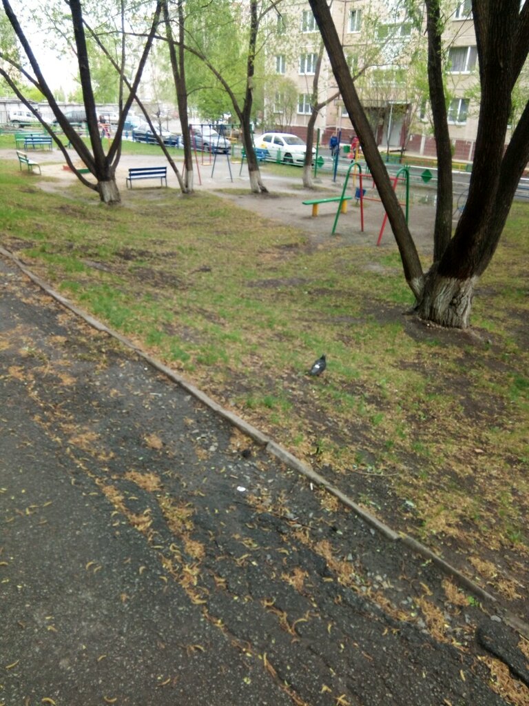 Oyun alanı Playground, Çeliabinsk, foto