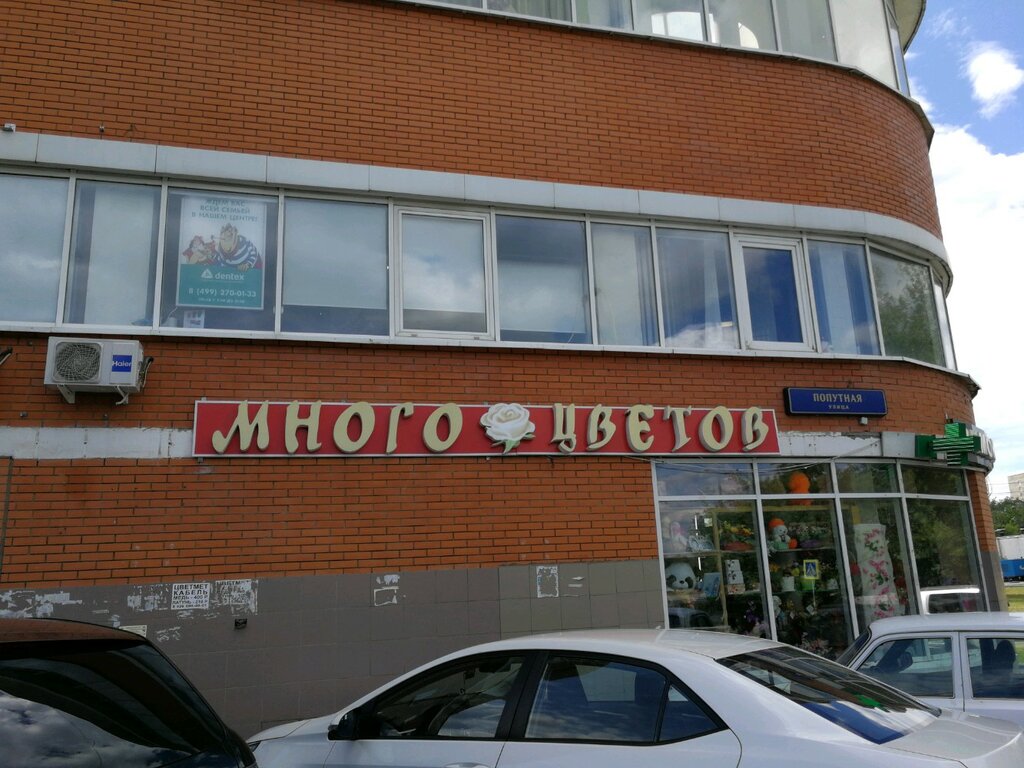 Çiçekçiler Mnogo Tsvetov, Moskova, foto