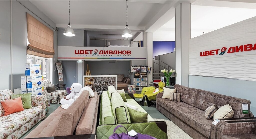 Koltuk takımı mağazaları Zvet Divanov, Moskova, foto