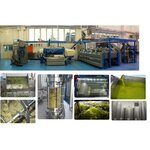 Oleificio Pasquinoni (Emilia-Romagna, Rimini, Via Torquato Tasso, 2), market  Emilia‑Romagna'dan