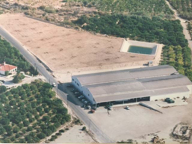 Market Albafruits, Valensiya, foto