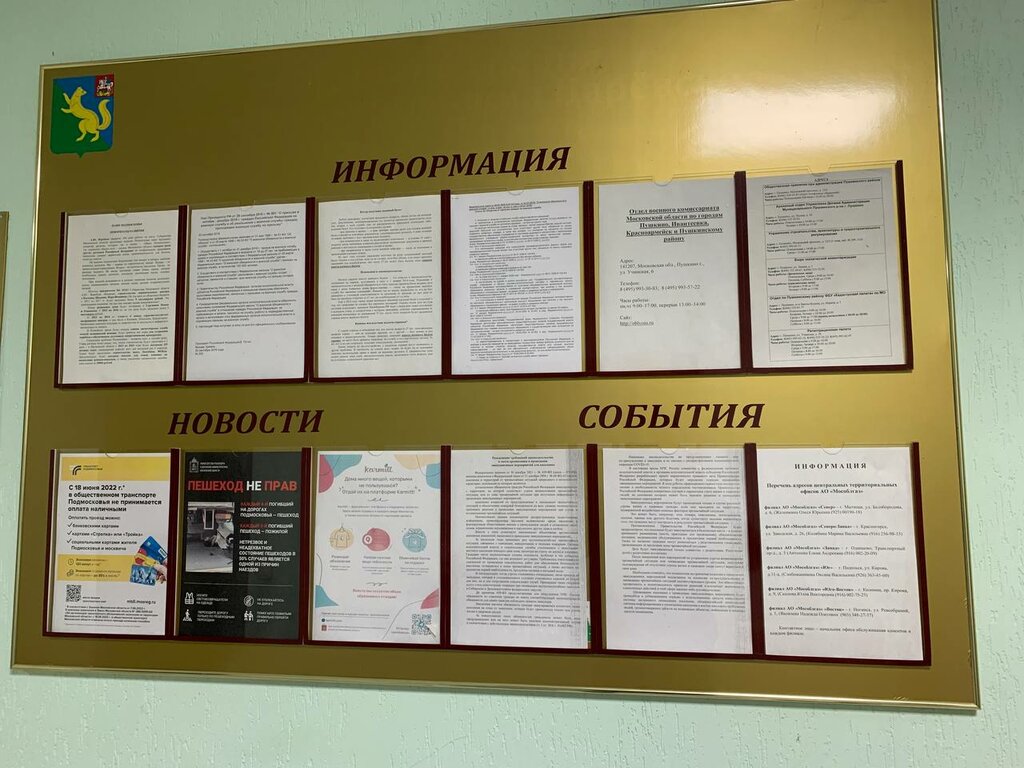 Belediyeler, devlet daireleri Муниципальное казенное учреждение Царёво, Moskova ve Moskovskaya oblastı, foto