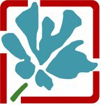 Iris (Marshrutnaya ulitsa No:11), yol ve asfalt ürünleri  Perm'den
