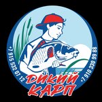 Дикий карп (Smolenskiy munitsipalny okrug, Katynskoye selskoye poseleniye), avcılar ve balıkçılar  Smolenskaya oblastından