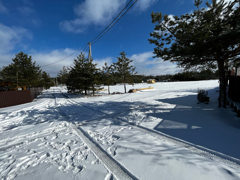 Bahçecilik dernekleri ve kuruluşları Sadovodcheskoye tovarishchestvo Lesnoye, Minskaya oblastı, foto