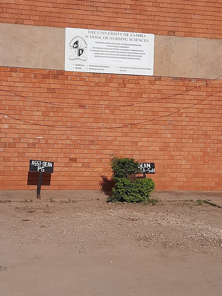 Eğitim merkezleri UNZA School of Nursing, Lusaka, foto