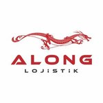 Along Lojistik (İstanbul, Bağcılar, Mahmutbey Mah., 2414. Sok., 2), lojistik firmaları  İstanbul'dan