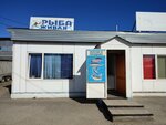 Живая рыба (Chuvash Republic, Cheboksary, territoriya Torgovy Kompleks Severny), balık ve deniz ürünleri  Cheboksary'den